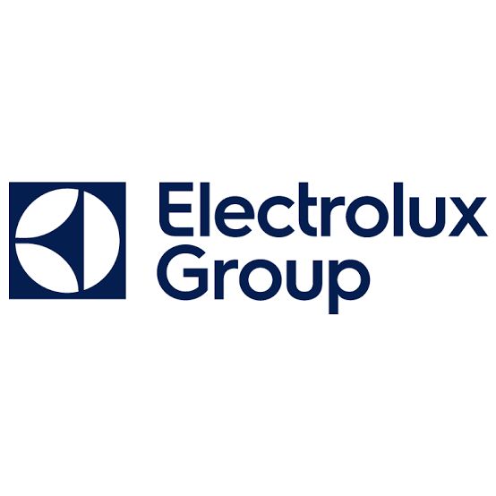 Electrolux Group Decides to Retain Its Business in Egypt with Plans to ...